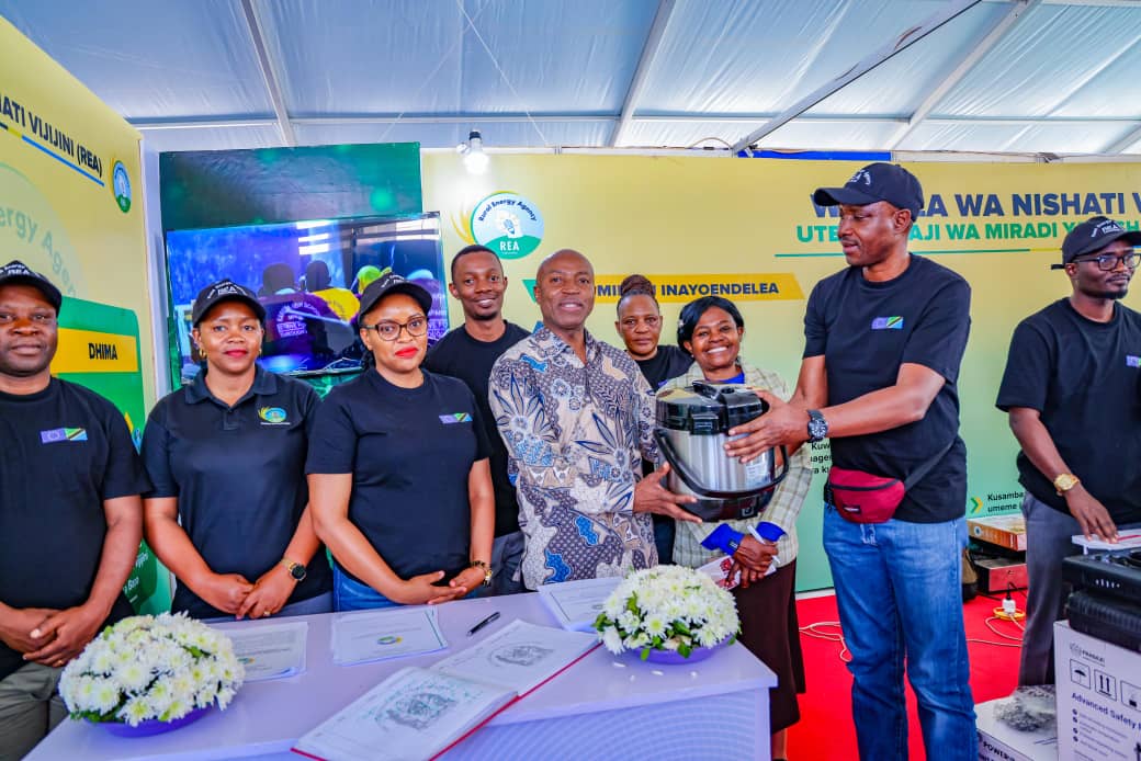 Chumi aipa kongole REA utekelezaji miradi ya nishati vijijini | Nipashe