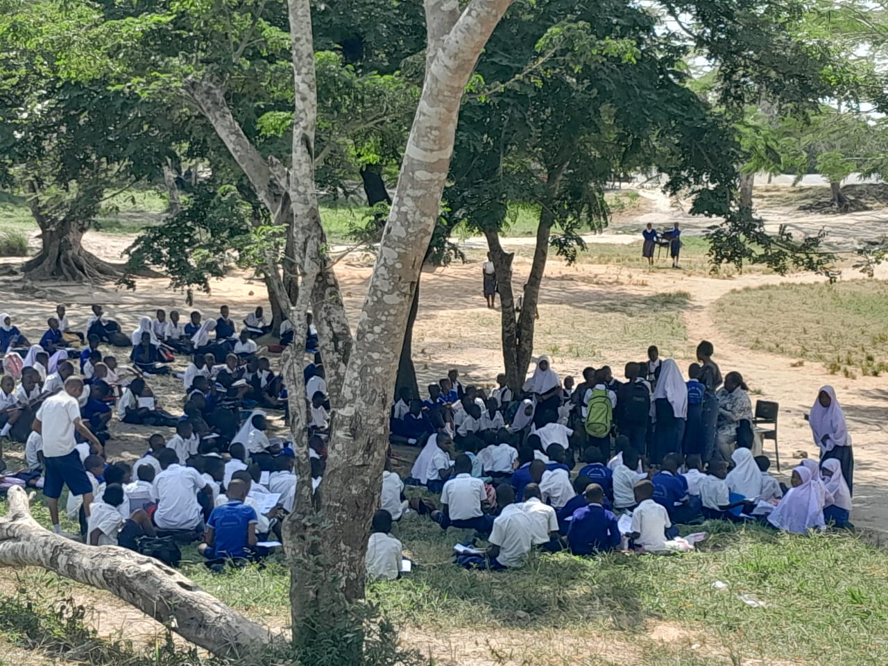 DARASA CHINI YA MTI; Walimu wadaiwa kupiga mwandishi | Nipashe